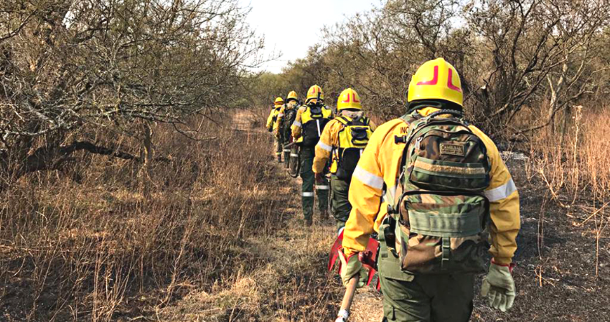 Brigadistas de Argentina reforzarán combate a los incendios en Ñuble ...