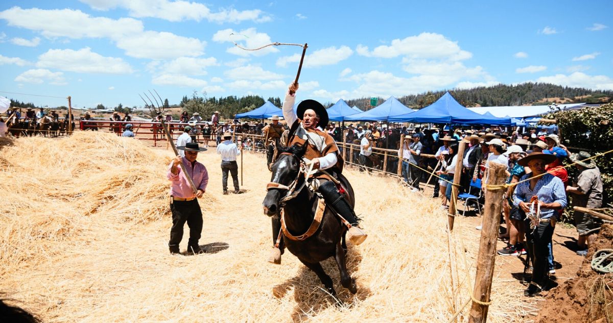 6 mil personas participaron de la tradicional Trilla a Yegua Suelta en ...