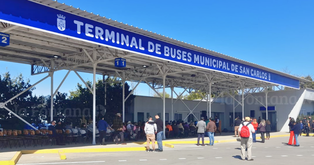 Carta | El papel del "Terminal Municipal de San Carlos": un debate ...