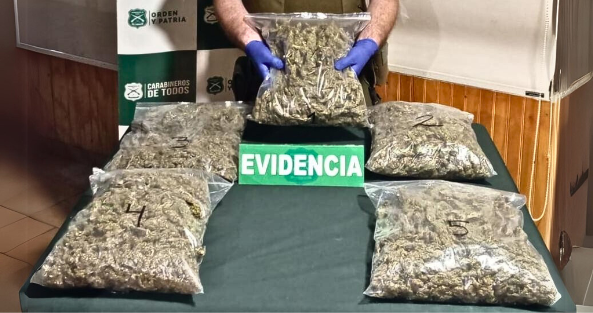 2 detenidos con 10 mil dosis de drogas en Ruta 5 de Ñuble: tienen situación migratoria irregular ...