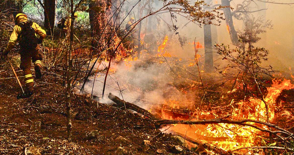 "Catástrofe sin precedentes": piden comisión investigadora por incendio ...